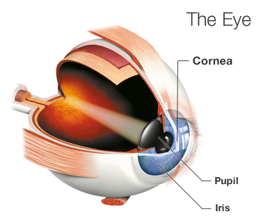 Corneal Abrasions St Augustine Trinidad West Indies, Precision Cataract ...